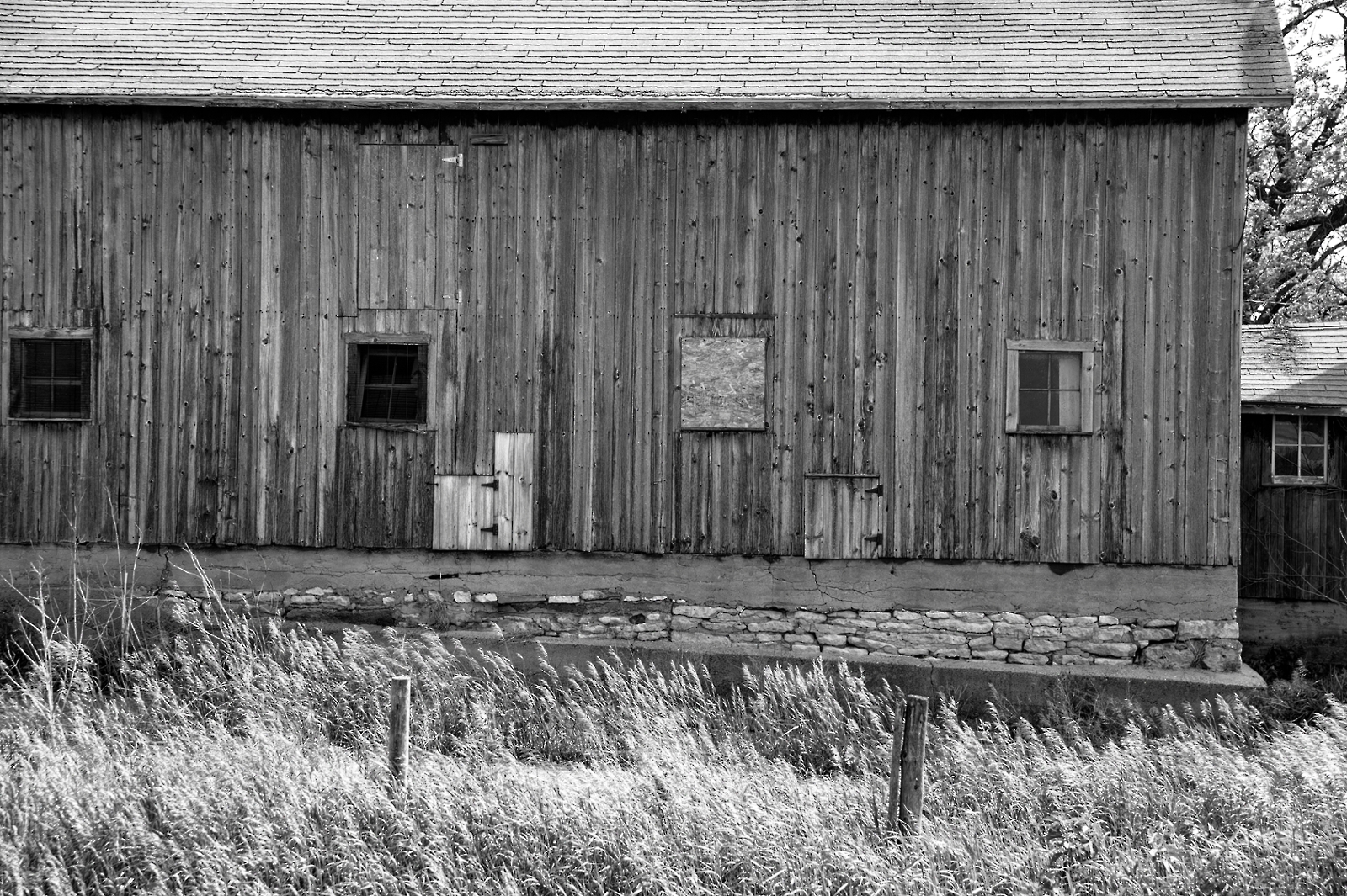 Black & White Vision - Photography - FM Forums